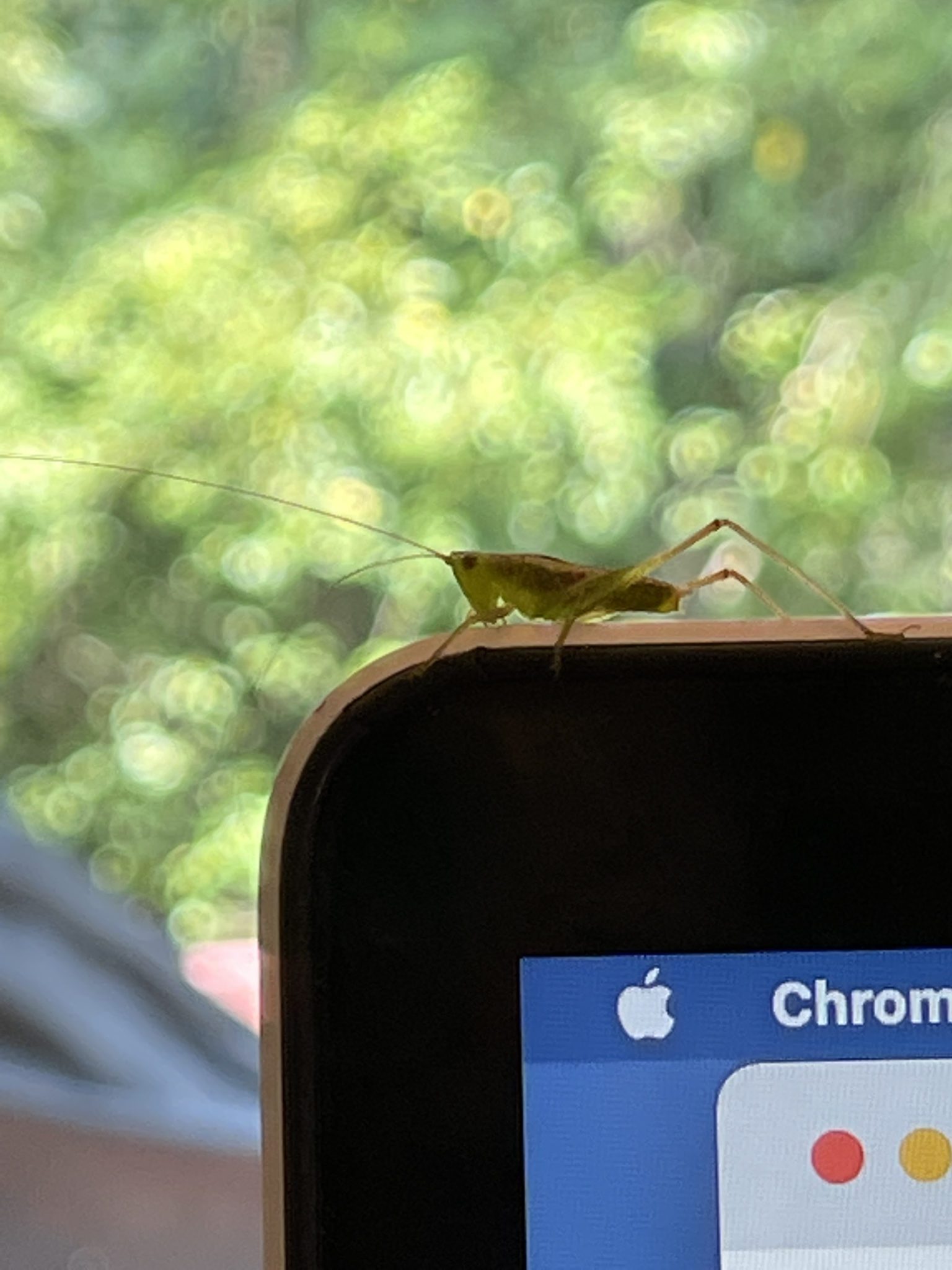 The Wide Awakening | Awaken Your Innate Abilities Jennifer Hough | The ...