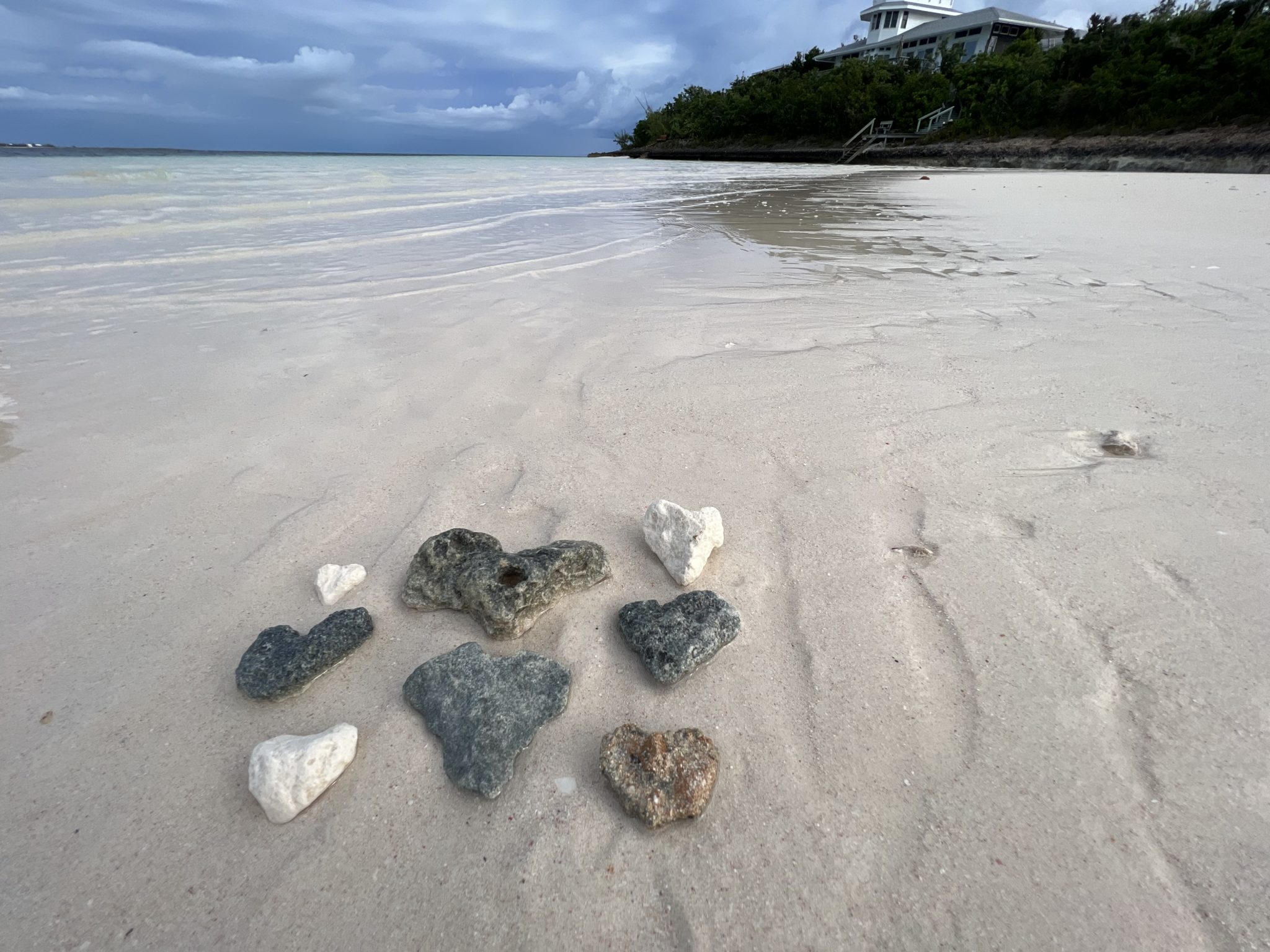 The Wide Awakening | Awaken Your Innate Abilities Jennifer Hough | The ...