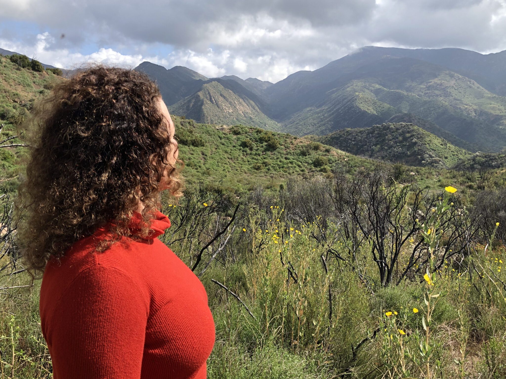 Getting back into flow … and what it takes. | The Wide Awakening with ...