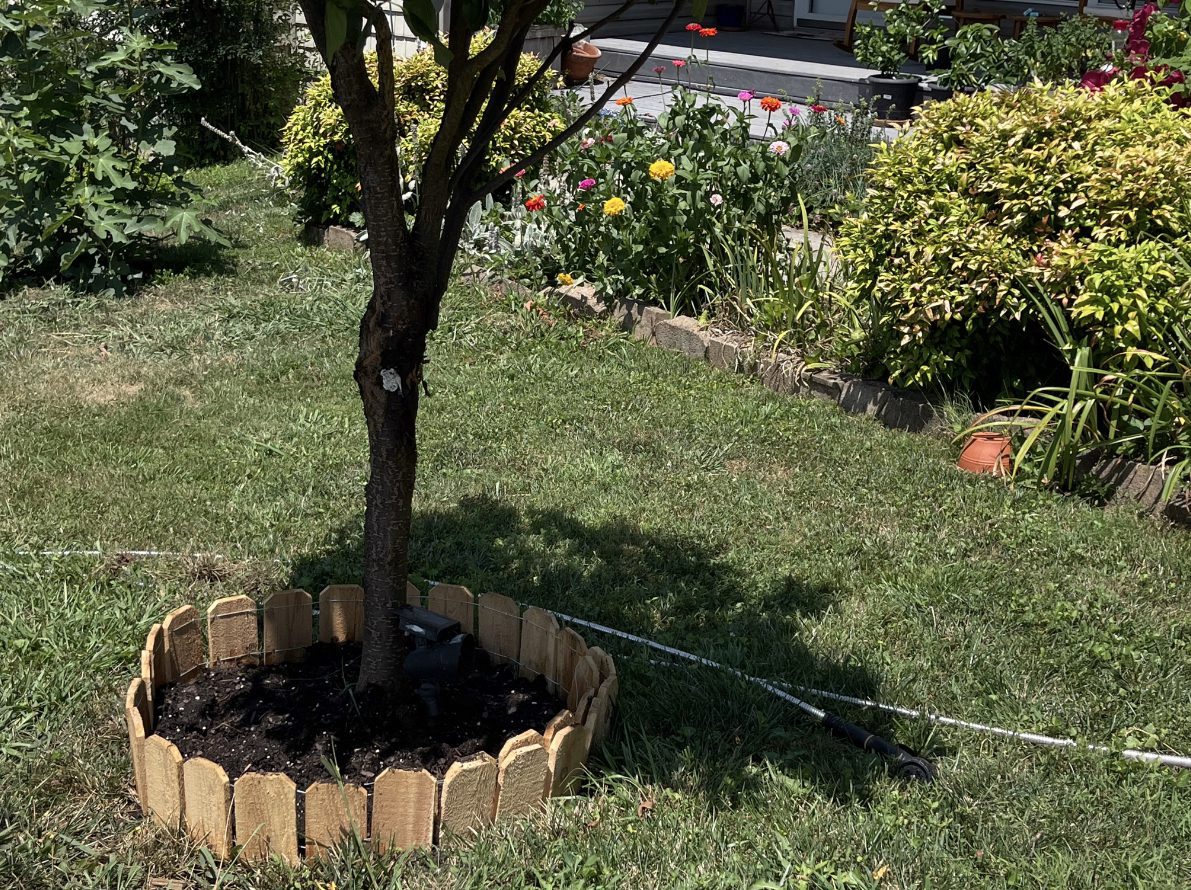 What Are the 24 Innate Abilities? | The Wide Awakening with Jennifer Hough