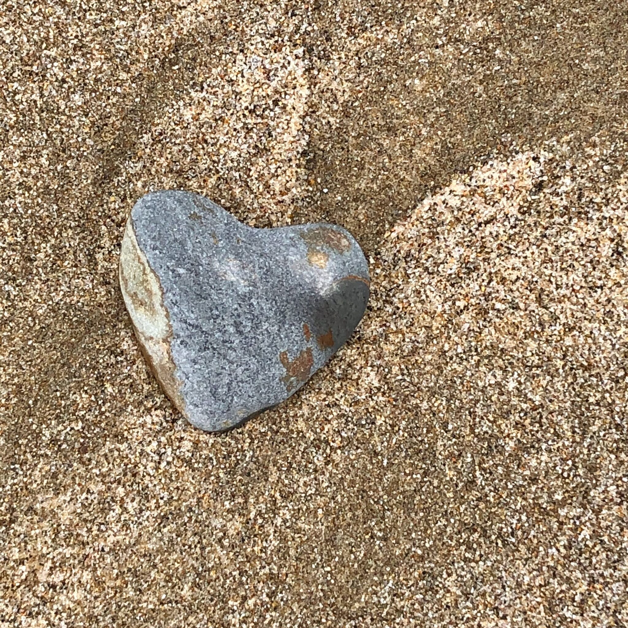 The Wide Awakening | Awaken Your Innate Abilities Jennifer Hough | The ...